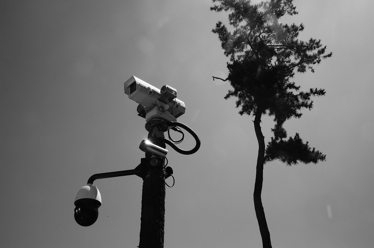 Surveillance as slow violence: Experiences from young environmental ...