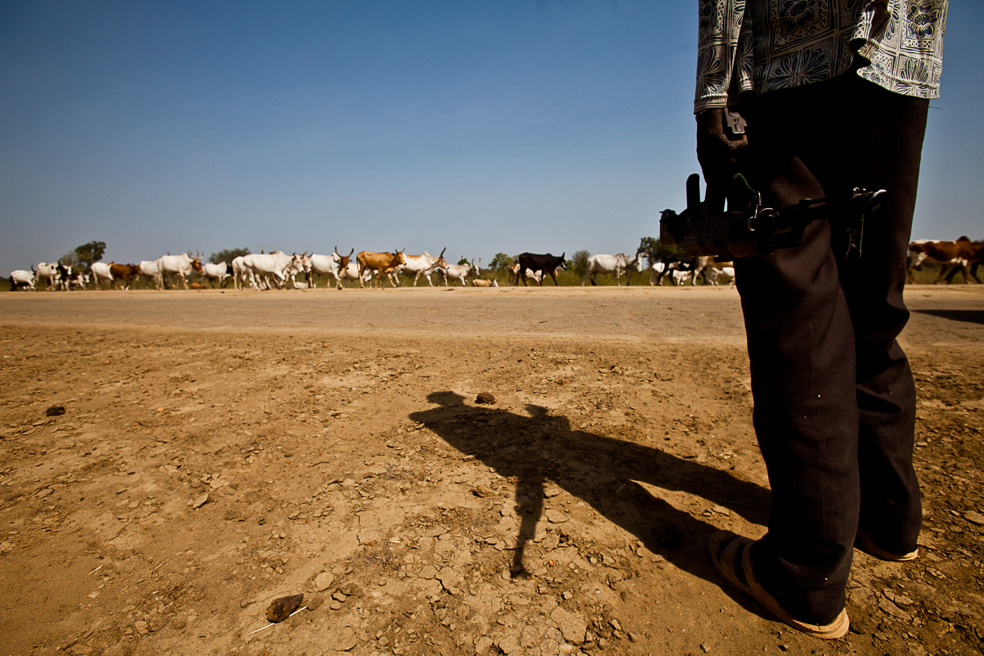 Abyei offers lessons for the region on climate-related security risks ...
