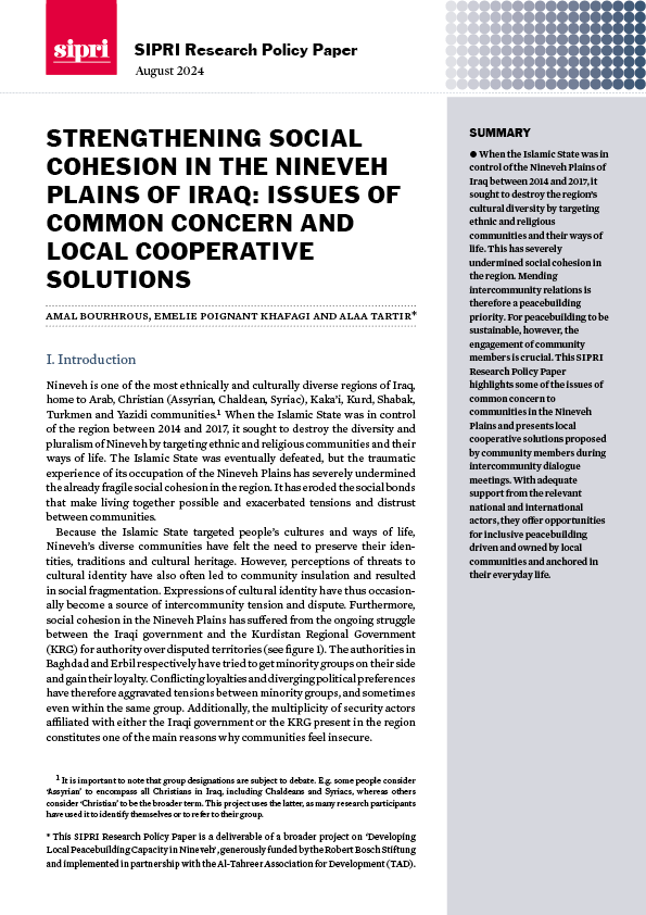 Strengthening Social Cohesion in the Nineveh Plains of Iraq: Issues of ...